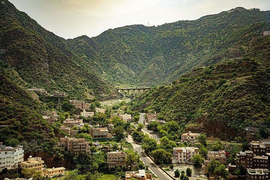 Al Soudah Development Project ... Saudi project for investment