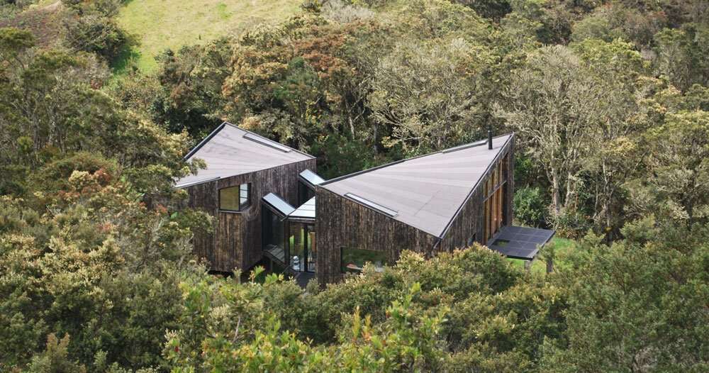 ZITA elevates a twisting home amongst a cloud forest in páramo ...
